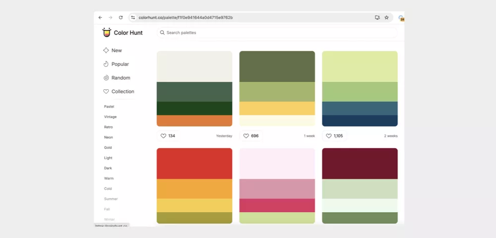 Best Color Palette Tool in 2025