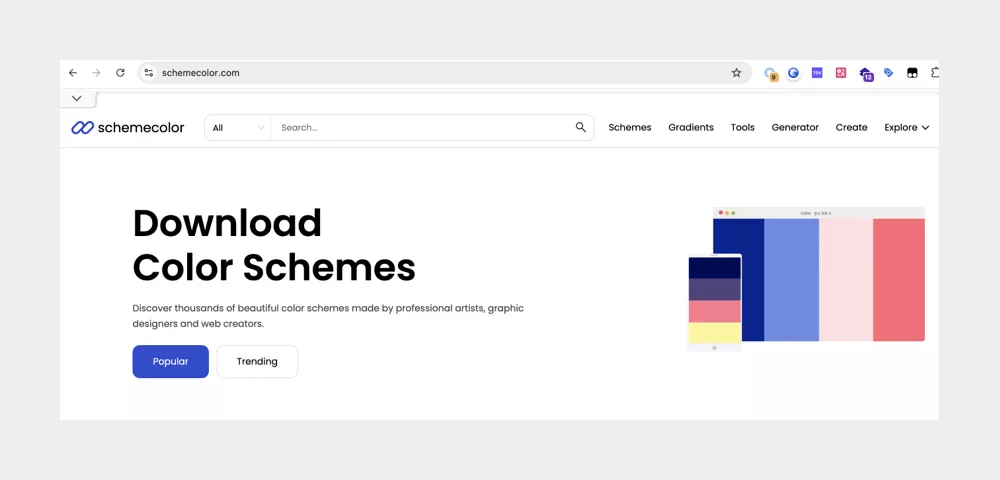 Best Color Palette Tool in 2025