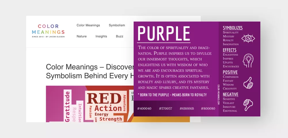 Best Color Palette Tool in 2025